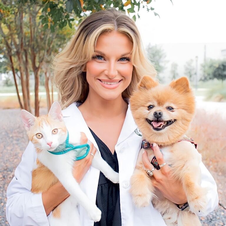 Dr. Michaela Baker | Animal Hospital of Colorado Springs in Colorado ...